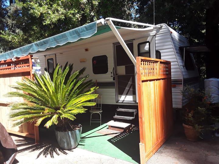 Cozy Trailer Between The Redwoods - San Jose, CA