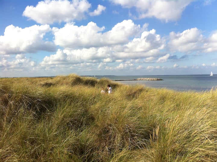 Giebelstube - Ostsee Hof Strand - Wisch
