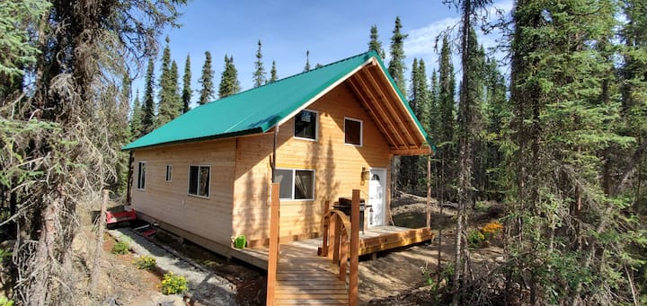 Papa Bear Cabin-close To Kenai River- Sleeps 10- Alaska Building A Dream - Alaska