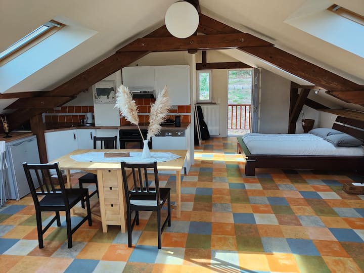 Loft à La Campagne Près De Mulhouse - Altkirch