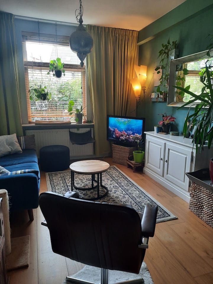 Knusse Benedenwoning Met Bad - Nijmegen