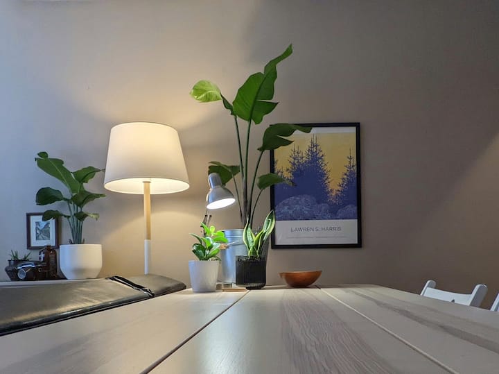 1-bedroom Walkup Apartment In Westboro - Ottawa