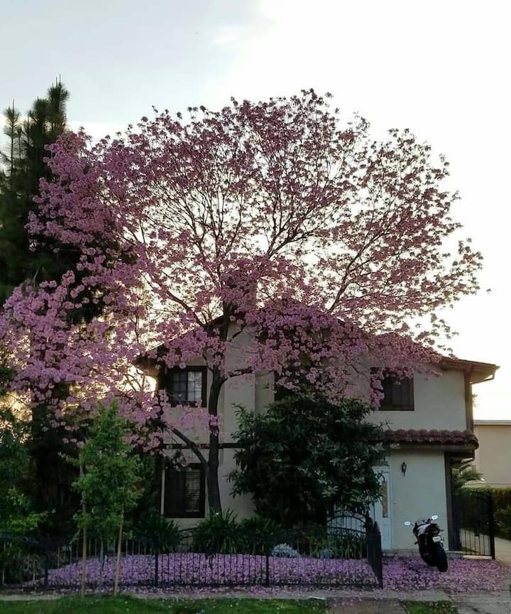 Charming 3-bedroom Condo W/ Patio- Cal Tech Area - Pasadena, CA