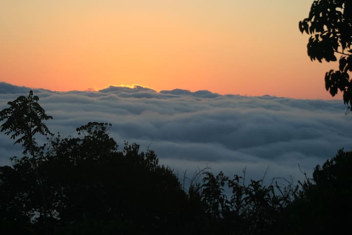 Bvumba Mountains Vacation Rentals & Homes - Manicaland Province ...