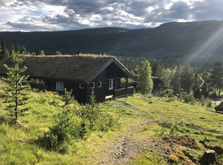 Hytte På Gålå! 
Ca 800m Fra Peer Gynt-arenaen. - Gålå