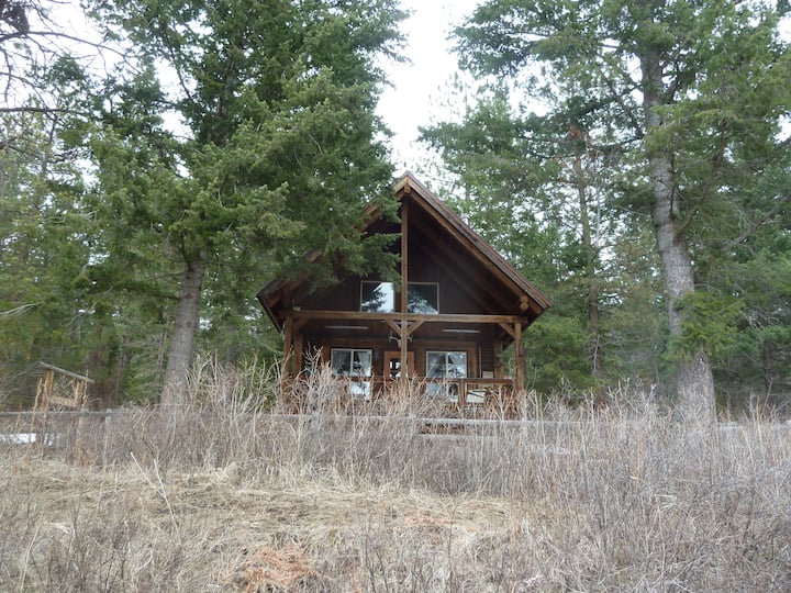 Enchanting Cabin In The Woods - Polson, MT