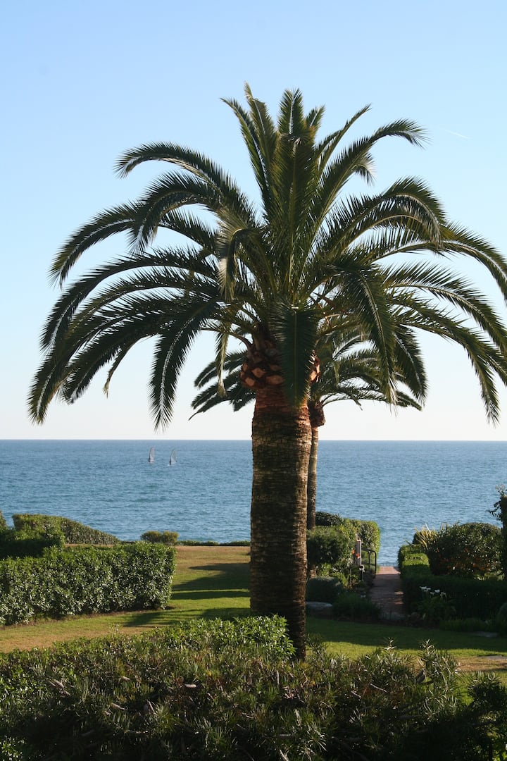Beachfront Cottage, Seaview & Pool! - Estepona