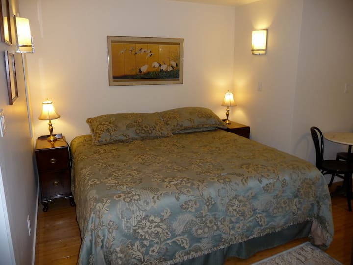 The Forest View - Nelson