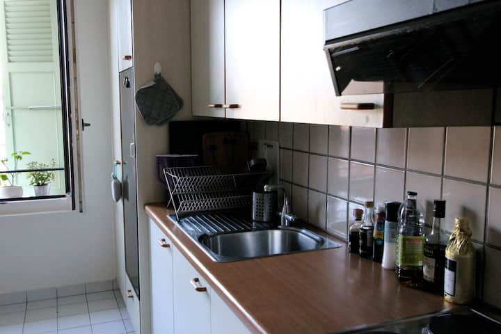 Authentic Attic Close To The Lake - Geneve