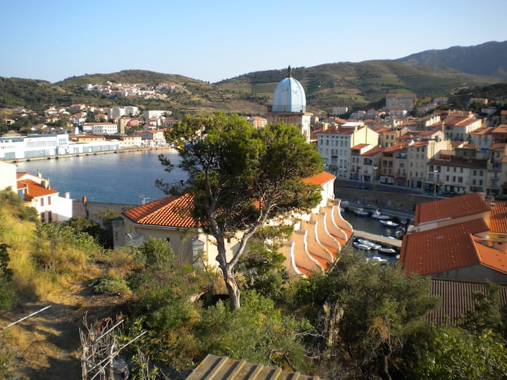 Vue Panoramique Du Port Et Des Pyrénées - Port-Vendres