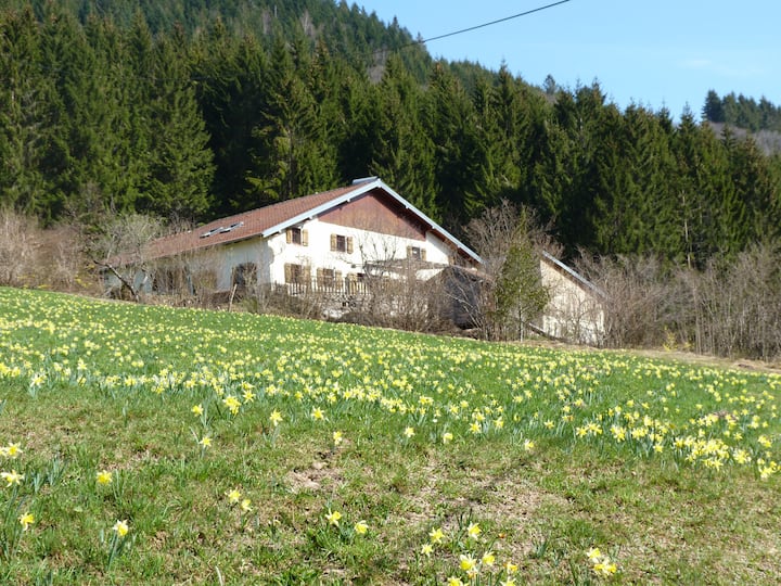 Gîte "Hatta" 2 éPis 3* Belle Vallée - Gérardmer
