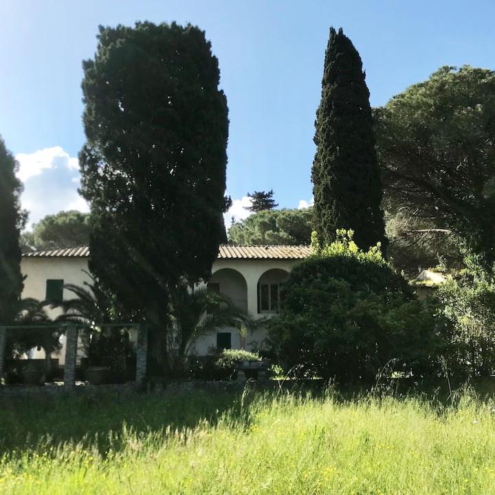 Villa Tita, Appartamento Oleandro - Île d'Elbe