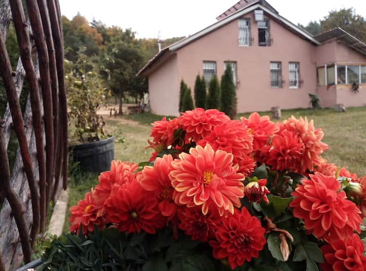 Yazın Serin Kışın Sıcak Dağevi/cozy Mountain House - Kocaeli