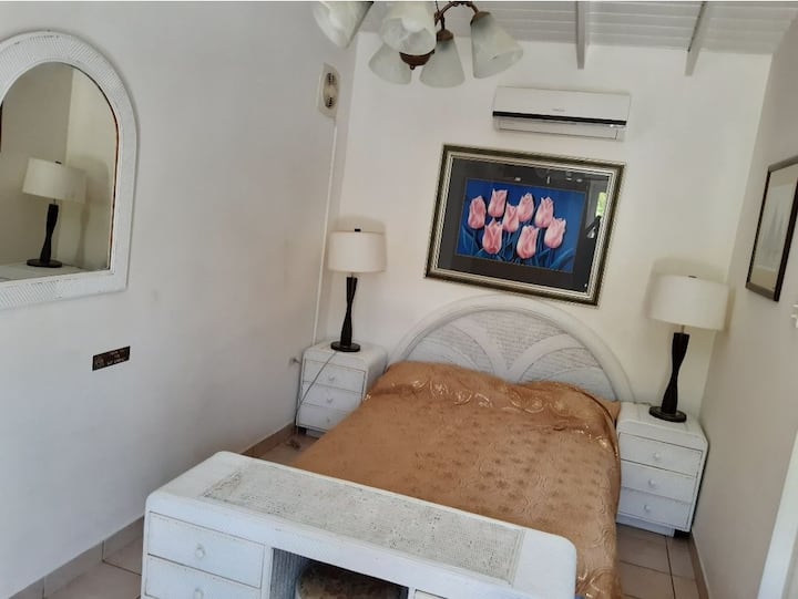 Leuke Tiny House Voor 4 Personen - Aruba