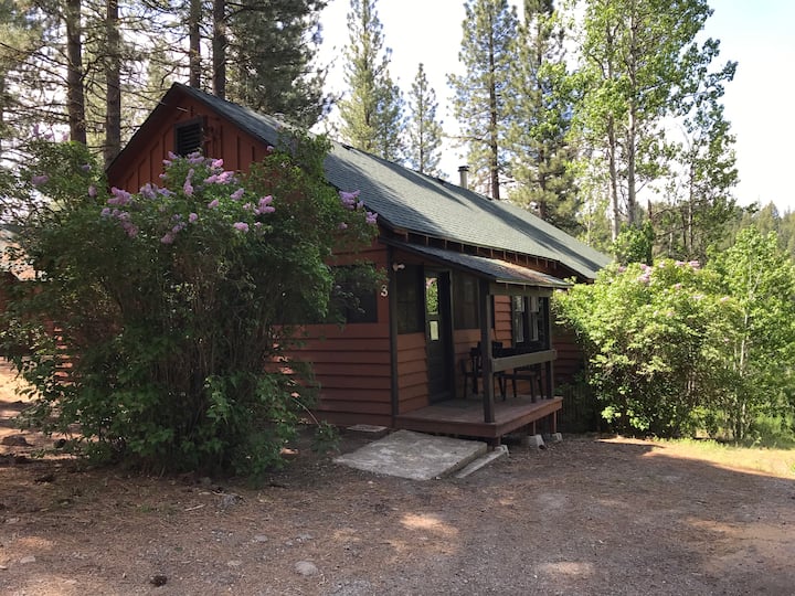 Nature Sabbatical ~ River View Cabin On 40 Acres - Graeagle, CA