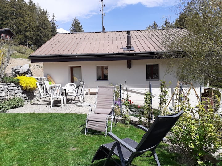 Appartement Duplex Dans Chalet - Sion