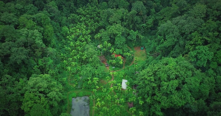 5 Star Hotels In Sringeri | Book from 50+ Stay Options @Best Price