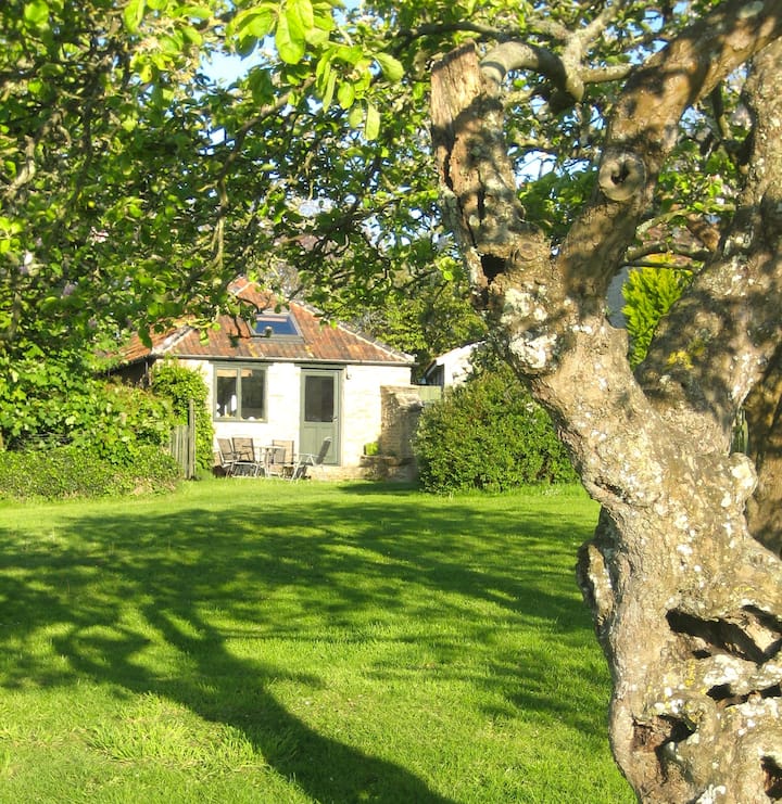 Orchard View Cottage - Dorset