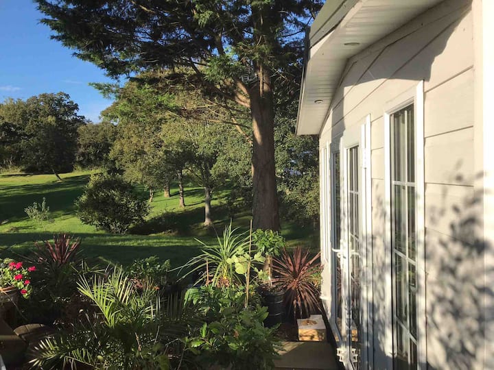 Moors Valley - Fareham