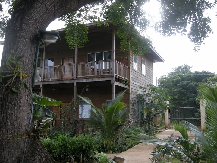 Appartements à Utila Chez Milady - Sonaguera