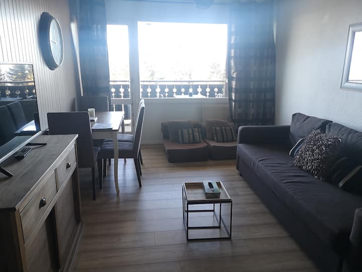 Appartement 4/5 Pers. Collet D'allevard.super Vue! - Allevard