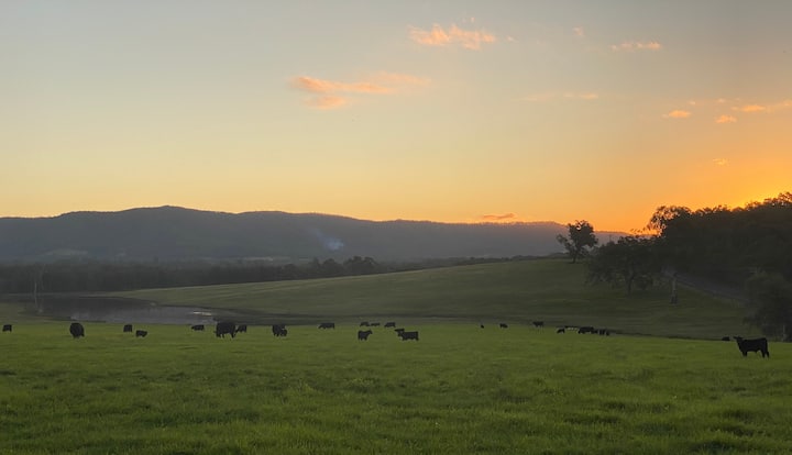 Ellalong Lagoon Home With A View Close To Vineyard - Hunter Valley