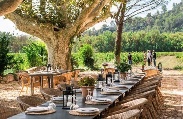 Chambre  D'hôtes "Domaine Régis Frères" - Vidauban