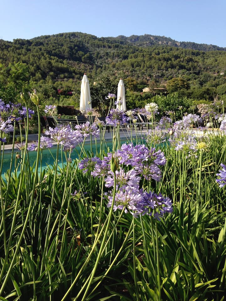 Can Busquera - Port de Sóller