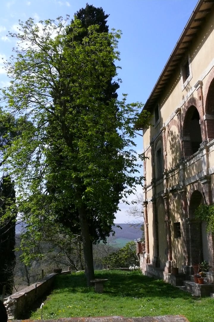 "Ancient Smell" In The Green Hills - Todi
