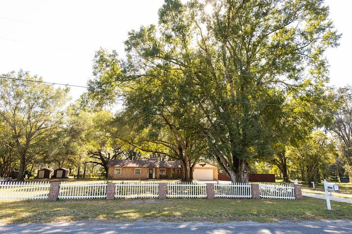 "The Green" Getaway Home Plus Pool In Wesley Chapel Florida - Wesley Chapel, FL