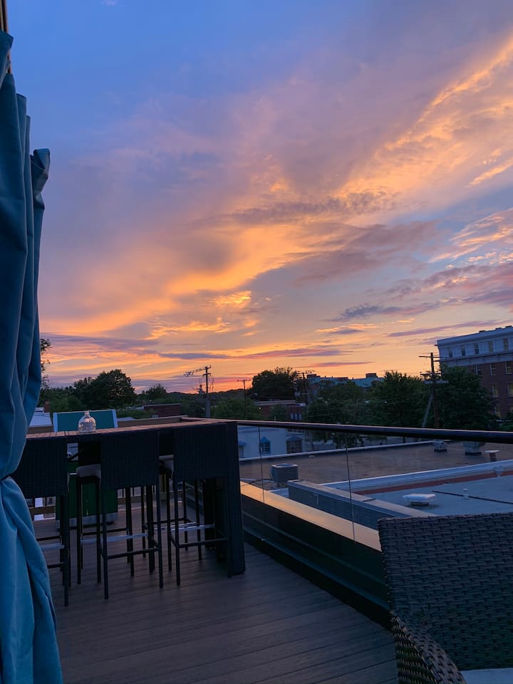 Alexandria Private Rooftop Old Town Condo - Alexandria, VA