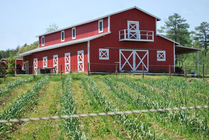 Live The Farm Life! - Hillsborough, NC