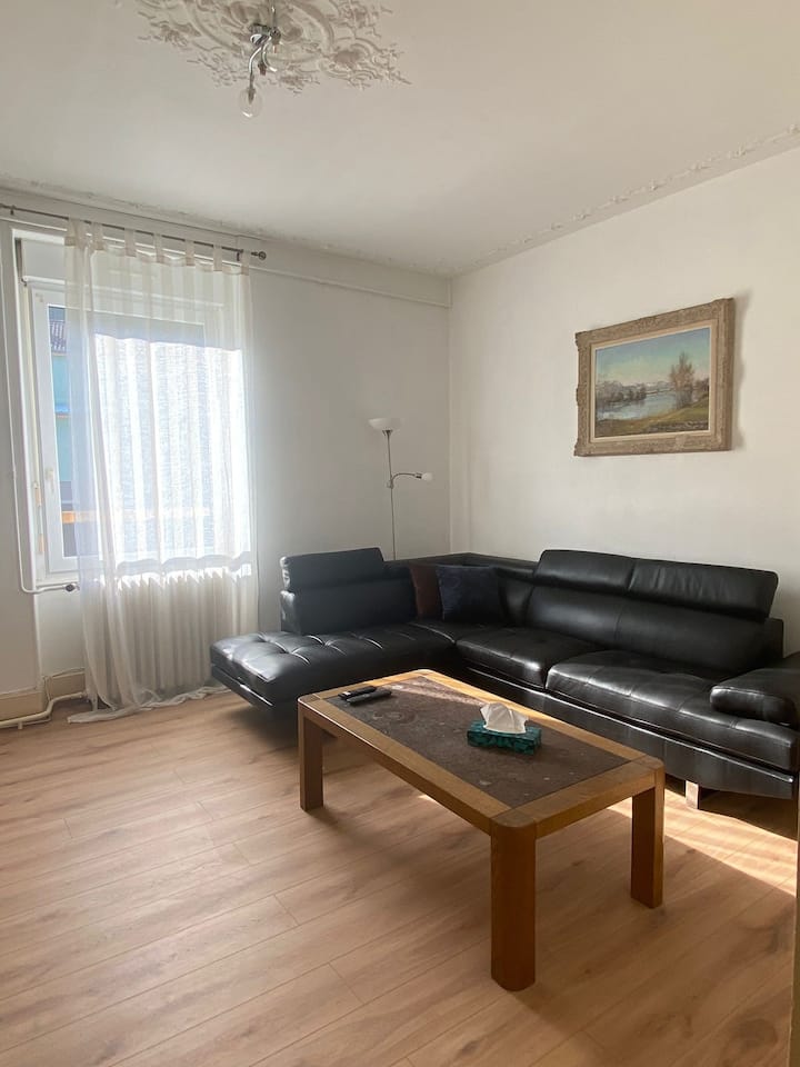 Citadelle Style Confort92 M²dans Maison De Maître - Belfort