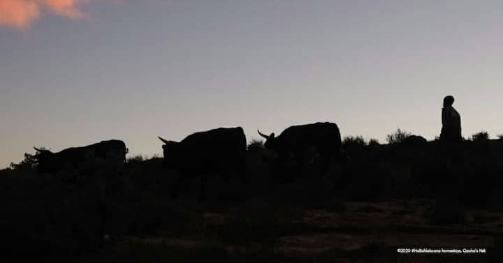 Personalized Village Experience For Entire Family - Lesotho