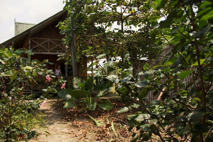 Balsasurf Lodge On Mompiche Beach - Mompiche