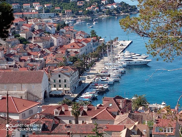 Apartman A1 - Hvar
