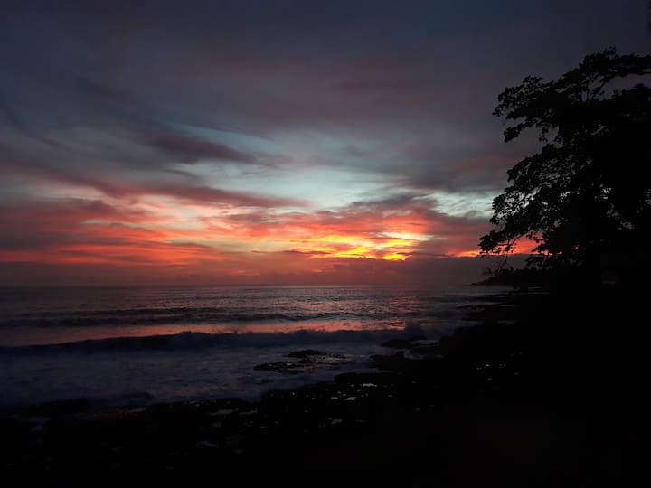Los Cocos 3 Playa Bonita Limón
Impuestos Incluidos - Limon