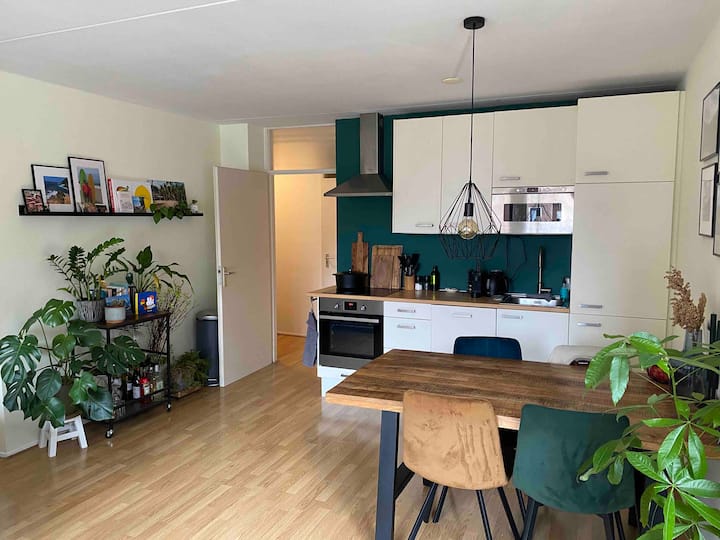Enjoy Amsterdam In This Beautiful Apartment! - Amsterdam