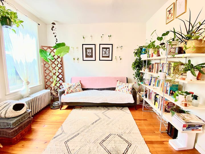 Queen Bed, Desk, Books, Large Mirrors & Sunny - New York City