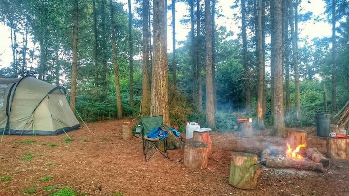 Country Farm For Camping (Woods) - South Downs