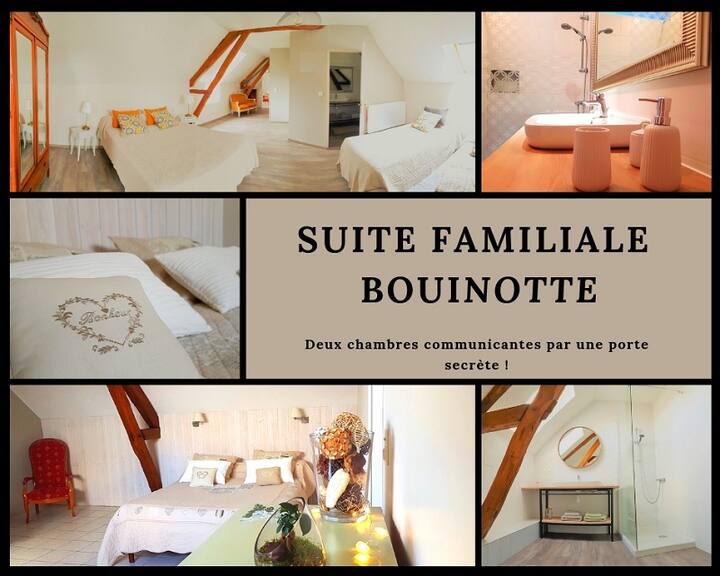 Bouinotte Proche Zoo De Beauval-chateaux - Romorantin-Lanthenay
