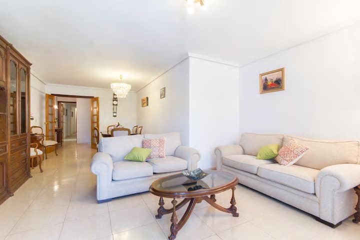 Flamenco 1 - Alicante