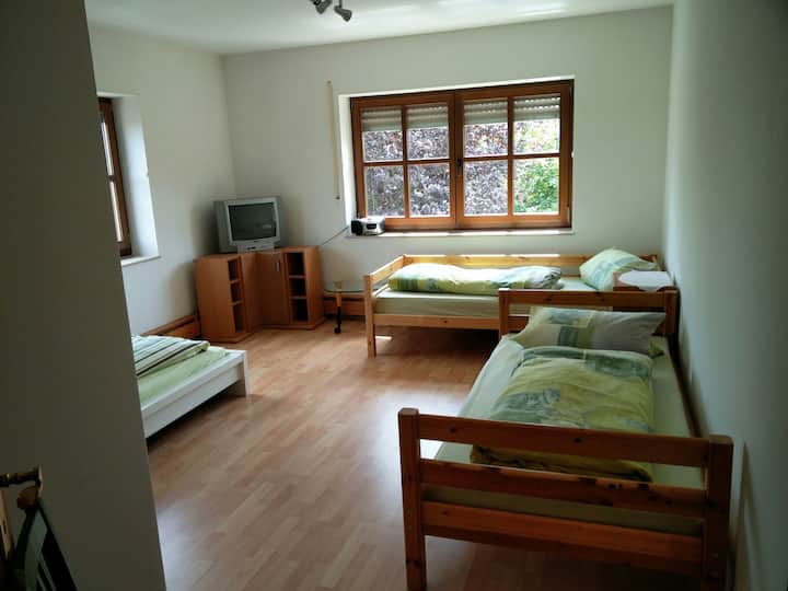 Lichtdurchflutete Wohnung - Muhr am See