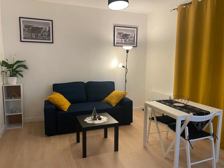 Appartement Lumineux Cosy - Argenteuil