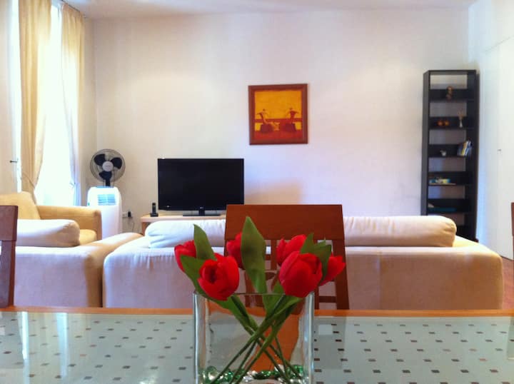 Charmant Et Confortable Appartement - Nice