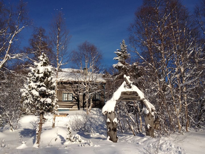 Cosy Wooden Cabin Near Geiranger - Norway
