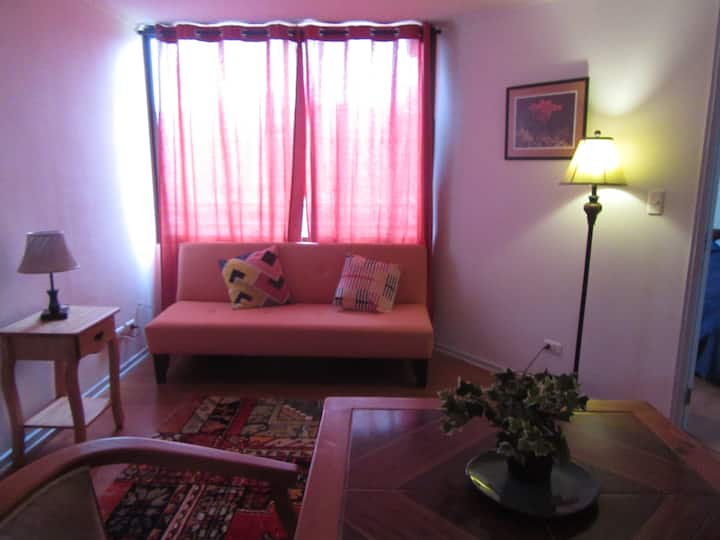 Acogedor Departamento En Santiago Centro - Santiago