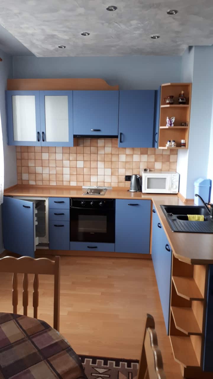 Rila Apartment - Samokov