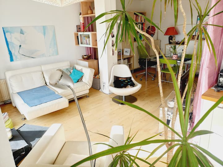 Appartement Chaleureux Et Lumineux. - Entzheim