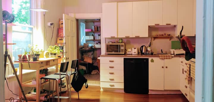 Awesome Location - Must Love Dogs. - Montreal